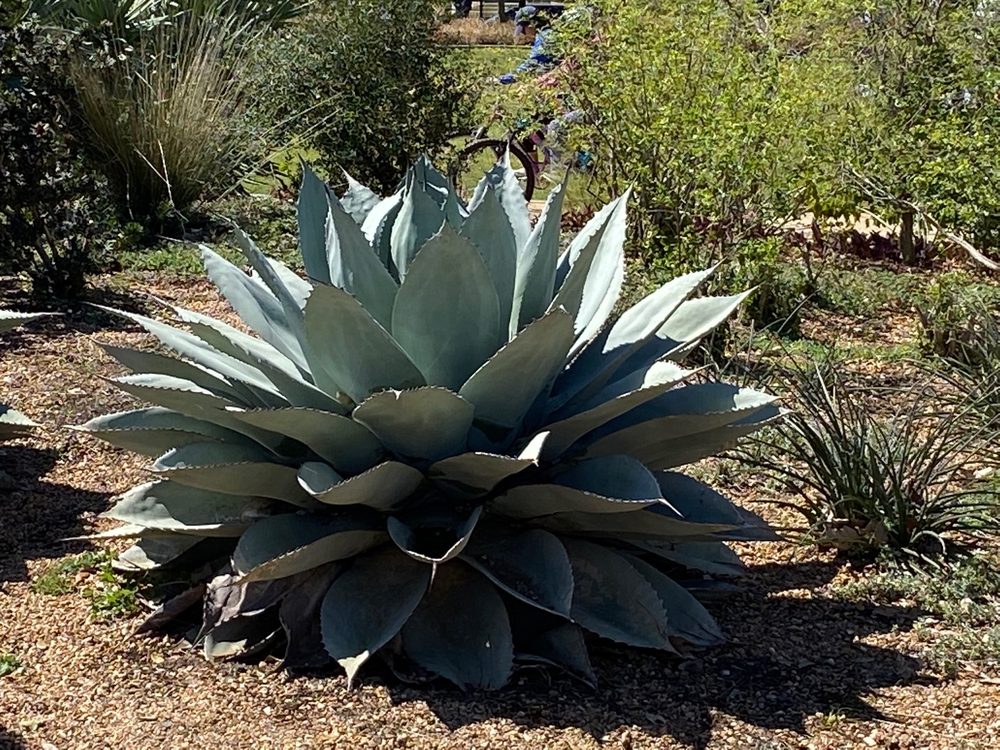 HERMANN PARK CONSERVANCY - 838 Photos & 228 Reviews - 1700 Hermann Dr ...