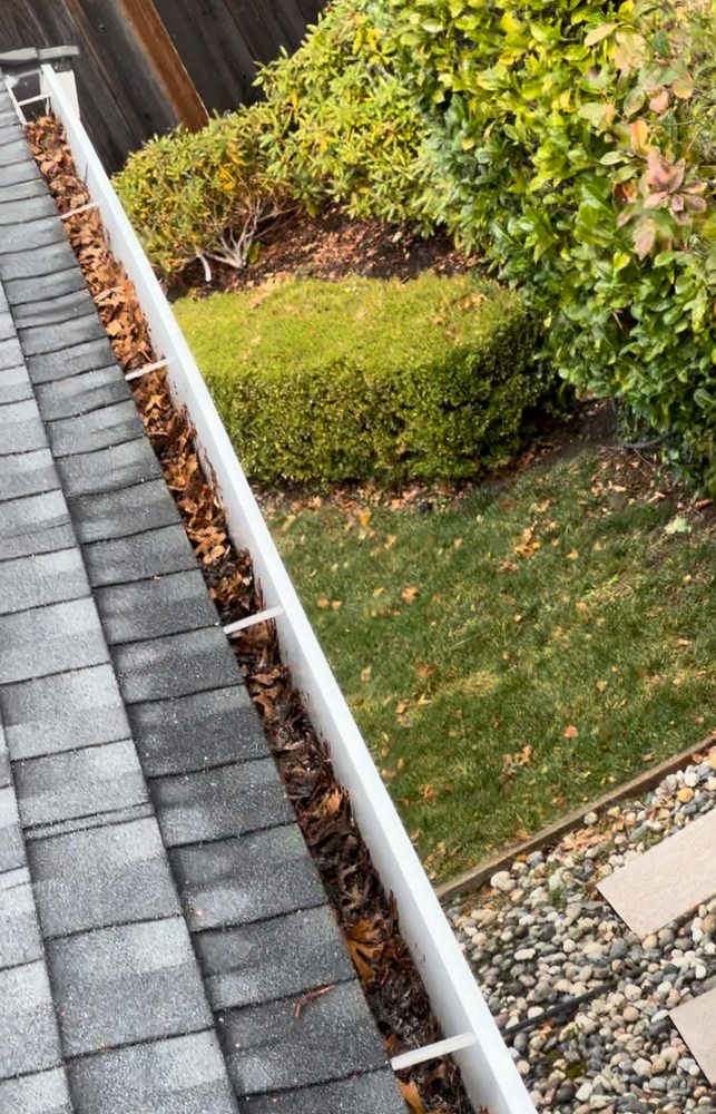 SKYLINE GUTTER PROTECTION - Updated February 2025 - 15 Photos - Napa ...