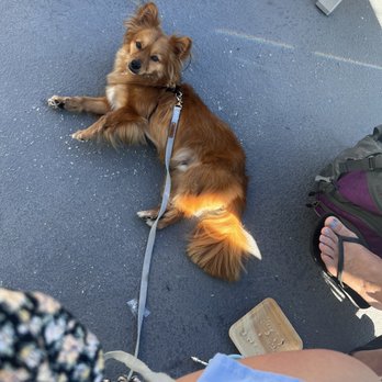 HARBOR & SKY ROOFTOP BAR AND LOUNGE - 101 Photos & 71 Reviews - 900 ...