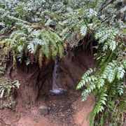 SILVER FALLS STATE PARK - 1472 Photos & 317 Reviews - 20024 Silver ...