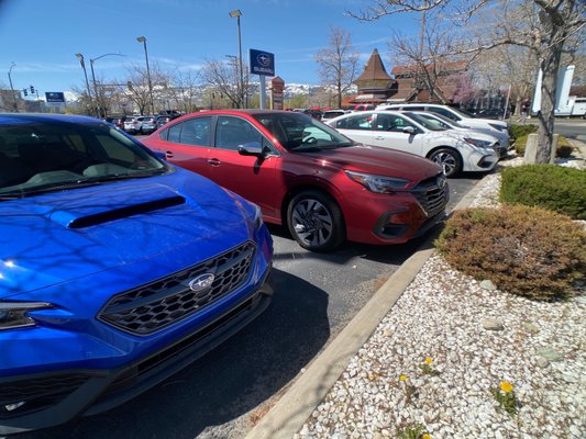 LITHIA RENO SUBARU - Updated August 2025 - 149 Photos & 599 Reviews ...