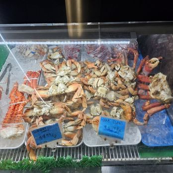 USA DAILY LIVE SEAFOOD MARKET - Updated April 2025 - 168 Photos & 93 ...