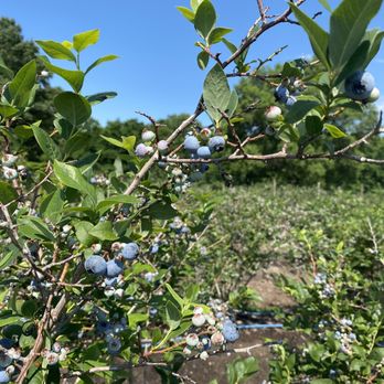 JOHNSON’S FARM PRODUCE - Updated January 2026 - 351 Photos & 64 Reviews ...