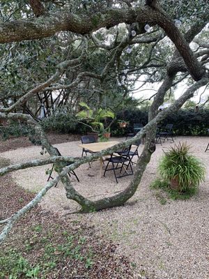 SHADE TREE CAFE - Updated October 2025 - 53 Photos & 54 Reviews - 219 S ...