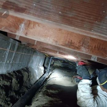 THE ROOTER COMPANY - Updated May 2024 - 132 Photos & 125 Reviews ...