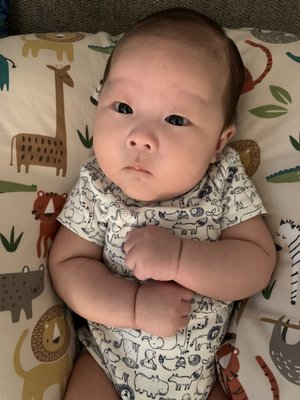 REPRODUCTIVE SCIENCE CENTER - Updated December 2025 - 28 Photos & 174 ...