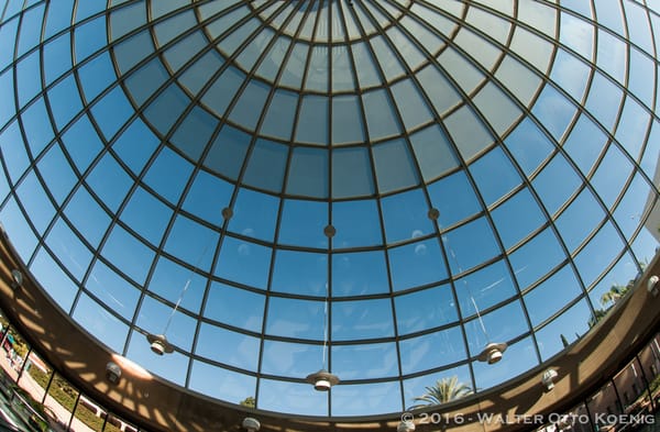 SDSU UNIVERSITY LIBRARY - Updated September 2025 - 42 Photos & 48 ...