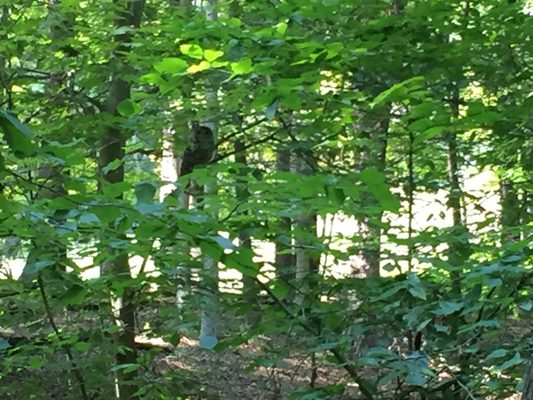 NORTH BEND STATE PARK - Updated July 2024 - 26 Photos & 11 Reviews ...