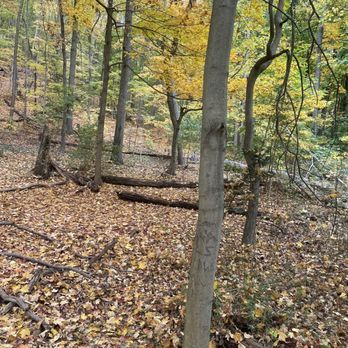 COLD SPRING HARBOR STATE PARK - Updated December 2025 - 263 Photos & 69 ...