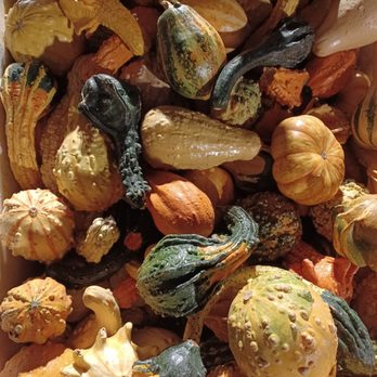 FERRARI FARMS - Updated October 2025 - 191 Photos & 69 Reviews - 4701 ...