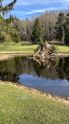 PORT LUDLOW GOLF COURSE - Updated October 2025 - 27 Photos & 27 Reviews ...