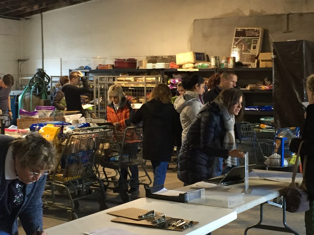 ANIMAL HOUSE PROJECT - Updated October 2025 - 26 Photos - 72 Robinson ...