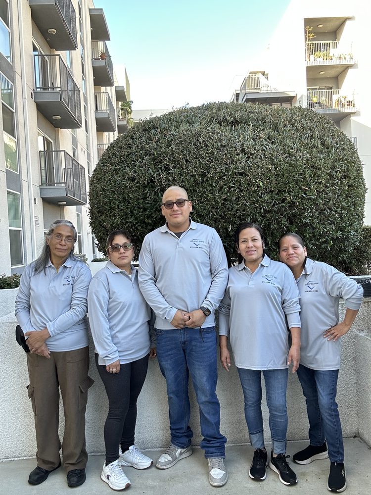 DIAMOND SHINE CLEANING SERVICES - Updated November 2025 - Request a ...