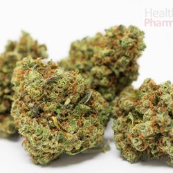 MISSION GEORGETOWN CANNABIS DISPENSARY - 21 Photos & 45 Reviews - 401 E Main St, Georgetown ...
