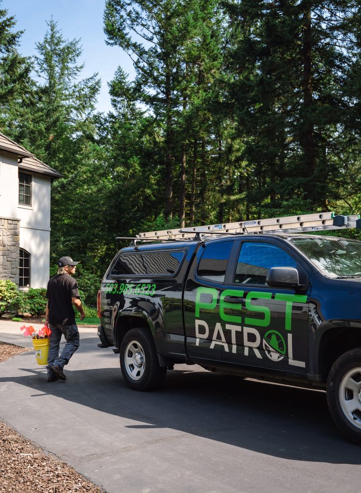 PEST PATROL - Updated November 2025 - 79 Photos & 30 Reviews - Portland ...