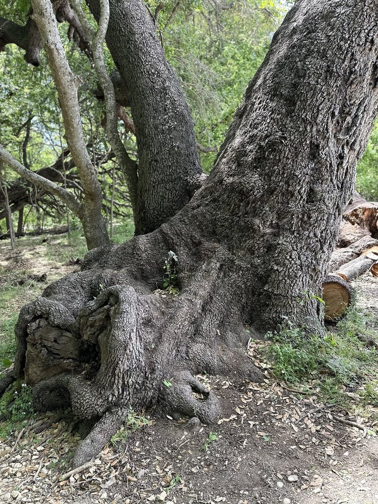 HENDRICK ARNOLD PARK - Updated December 2025 - 12 Photos - 8950 ...