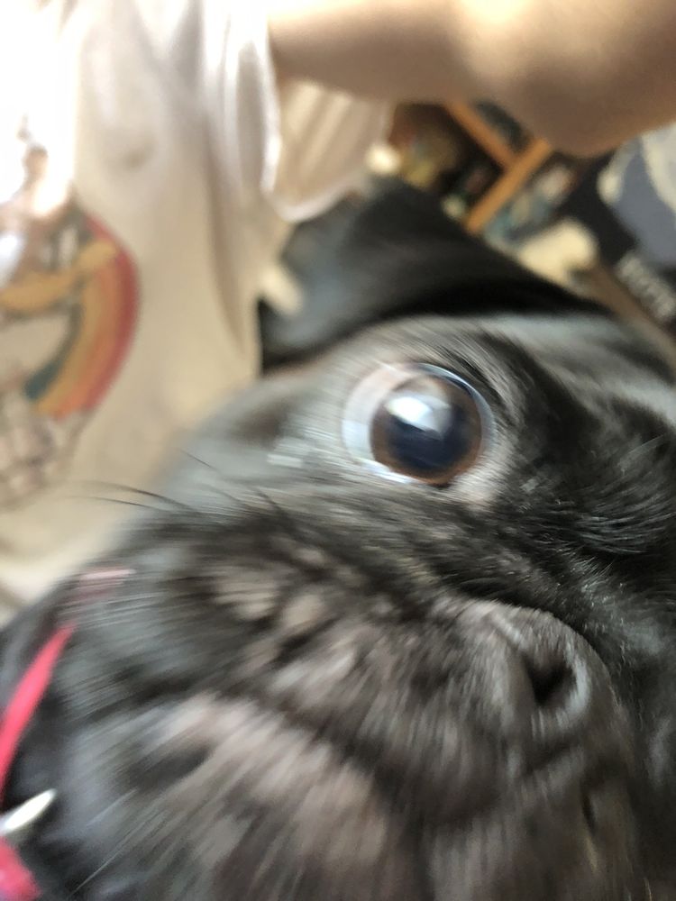 HOPKINS HIGH SCHOOL - Updated October 2025 - 21 Photos - 2400 Lindbergh ...