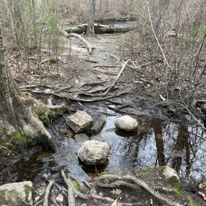 ESCOHEAG TRAIL - Updated July 2024 - 20 Photos - Escoheag Hill Rd ...