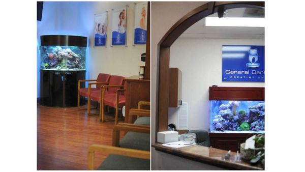 LEE HERMAN, DDS - WEST BOCA DENTAL CARE - Updated January 2026 - 24 ...