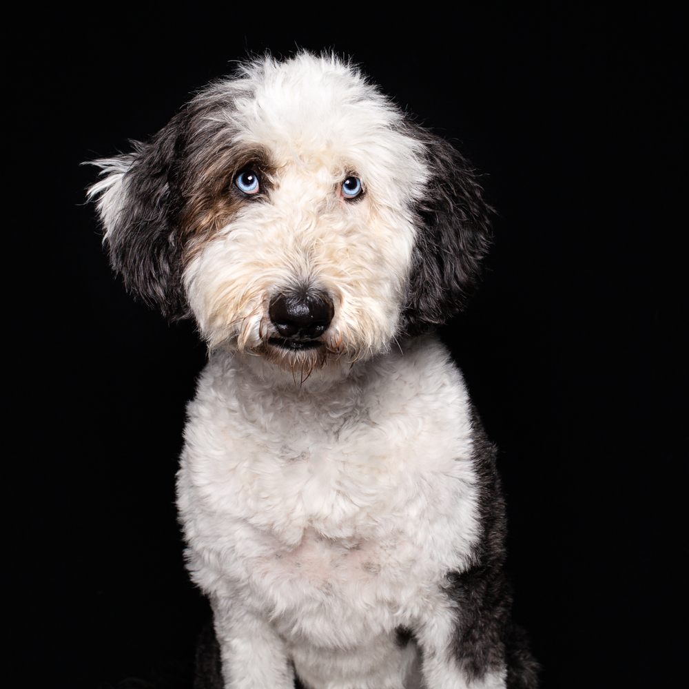 WENDY HUMBLE PHOTOGRAPHY - Updated December 2025 - Request Information - 1719 Park Ave, Richmond ...