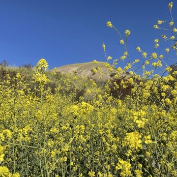 WHITING RANCH WILDERNESS PARK - Updated November 2025 - 928 Photos ...