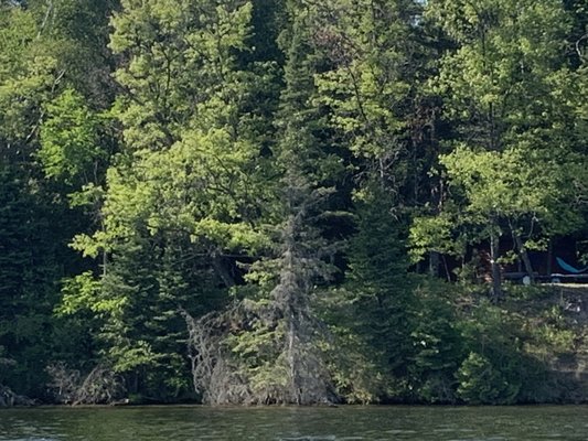 ALCONA PARK - Updated January 2026 - 48 Photos - 2550 Au sable River Rd ...