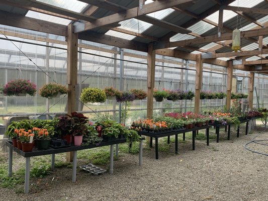 FAIRFIELD FARMS & GREENHOUSES - 15 Photos & 12 Reviews - 177 Big Piece ...