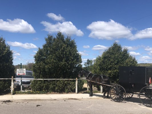 MISHLER’S COUNTRY STORE - Updated May 2025 - 21 Photos & 29 Reviews ...