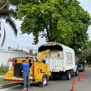 FRANCISCOS TREE SERVICE - Updated August 2025 - 65 Photos & 91 Reviews ...