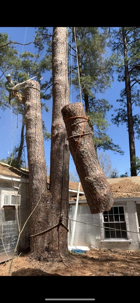 C & B TREE SERVICE - Updated August 2025 - 105 Photos - Lufkin, Texas ...