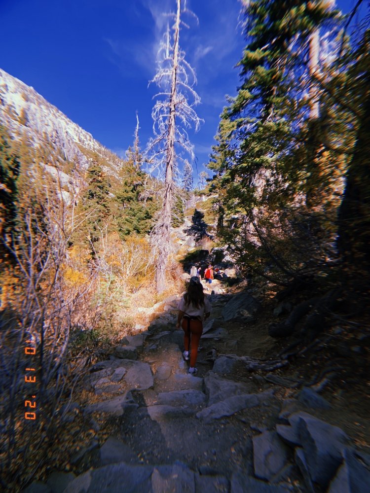 EAGLE FALLS TRAILHEAD - 746 Photos & 173 Reviews - Hiking - Hwy 89 ...