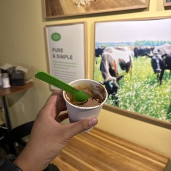 PITANGO GELATO & COFFEE - Updated December 2025 - 677 Photos & 803 ...