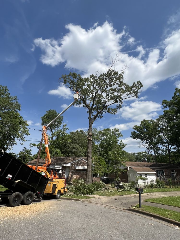 VIRGINIA VALLEY TREE SERVICES - Updated July 2025 - Newport News ...