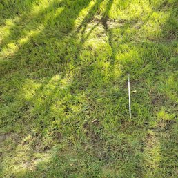 Spring-Green Lawn Care Reviews | Read Customer Service Reviews of ...