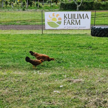 KUILIMA FARM - Updated October 2025 - 63 Photos & 19 Reviews - 57-146 ...