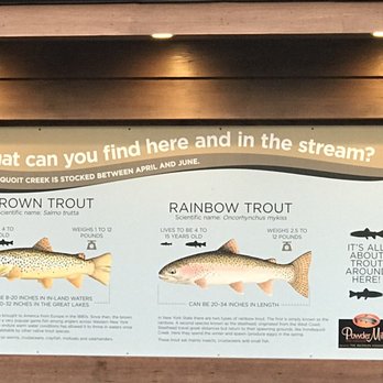 POWDER MILL FISH HATCHERY - Updated October 2025 - 51 Photos - 150 Park ...