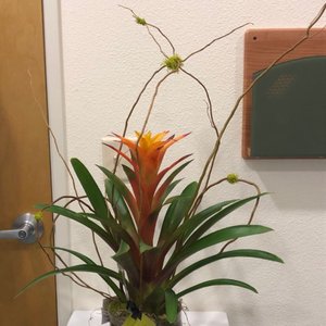 TWIGGS FLORAL DESIGN GALLERY - 100 Photos & 119 Reviews - 3250 J St ...