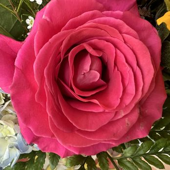 CHRISTOPHER FLOWERS - Updated April 2025 - 63 Photos & 69 Reviews ...