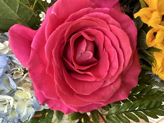 CHRISTOPHER FLOWERS - Updated July 2025 - 67 Photos & 77 Reviews - 3120 ...