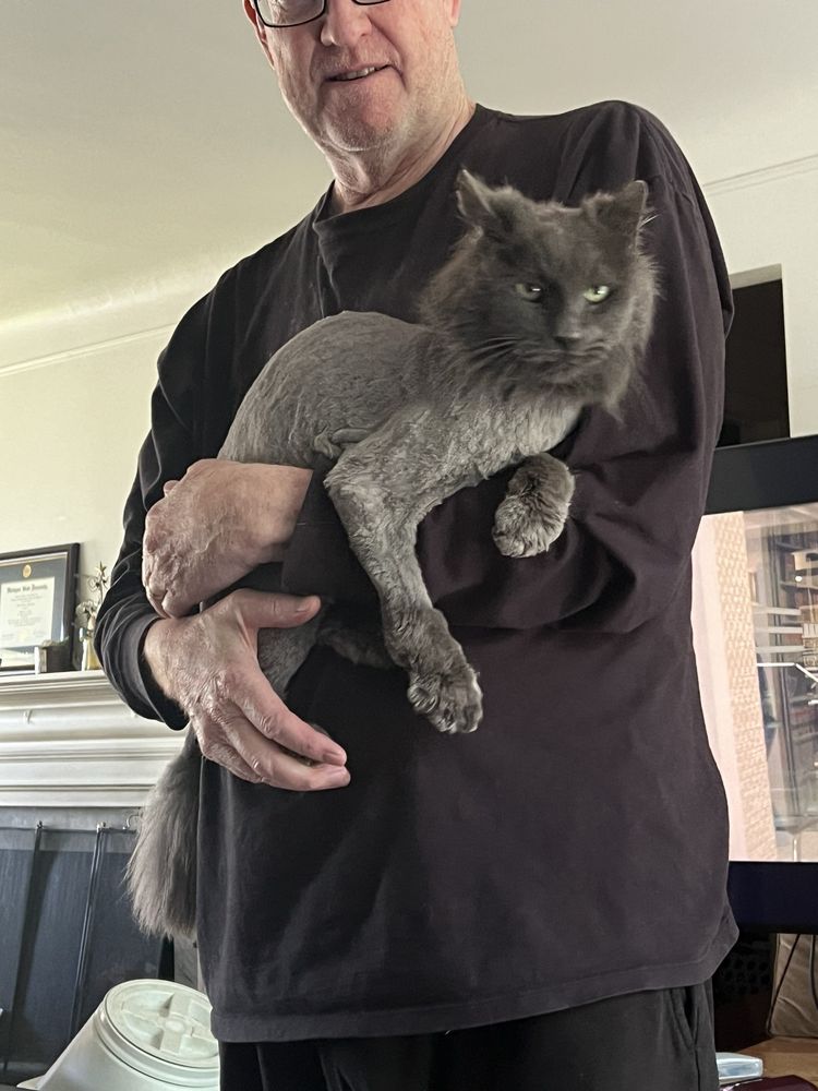 SHORES GROOMING - Updated October 2025 - 30 Photos & 22 Reviews - 30201 ...