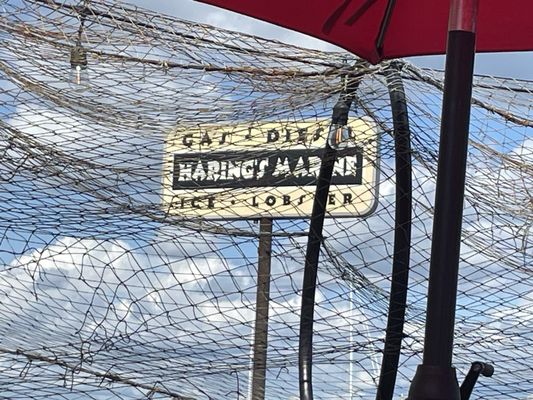 HARING’S MARINE - Updated November 2025 - 53 Photos & 34 Reviews - 15 ...