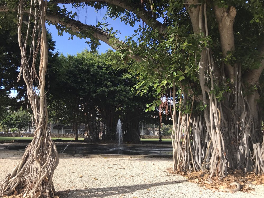 Thomas Square - Updated COVID-19 Hours & Services - 105 Photos & 26 ...