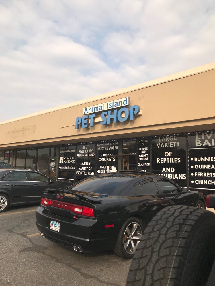 ANIMAL ISLAND PET SHOP - Updated October 2024 - 36 Photos & 56 Reviews ...