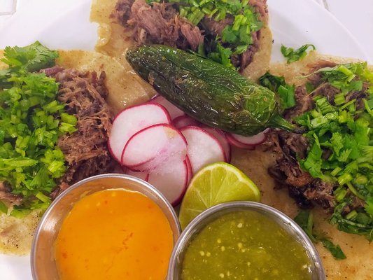 EL BOTANERO BAR - Updated December 2025 - 10 Photos - 3049 W NW Hwy ...