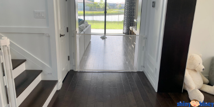 SHINY HINEY - Updated January 2026 - 18 Photos - Boca Raton, Florida ...