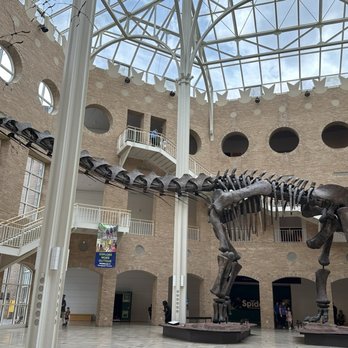 FERNBANK MUSEUM OF NATURAL HISTORY - Updated December 2024 - 1052 ...