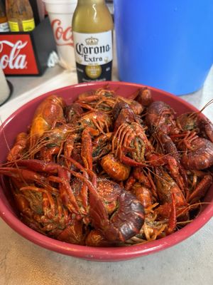 DEWY DEW BUGZ - Updated August 2025 - 35 Photos & 52 Reviews - 9419 ...