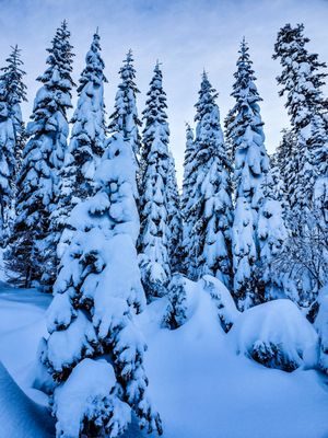 DIGITALPATH - Updated August 2025 - 25 Photos & 259 Reviews - 1065 ...