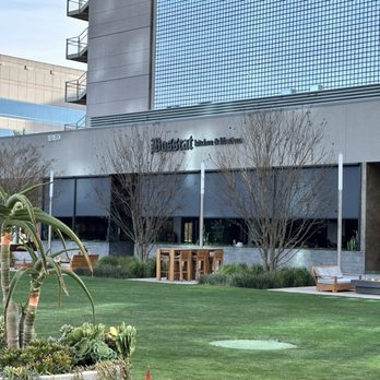 BOSSCAT KITCHEN AND LIBATIONS - Updated February 2025 - 8071 Photos ...