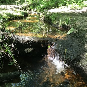 DEEP RUN PARK AND RECREATION CENTER - Updated August 2025 - 80 Photos ...